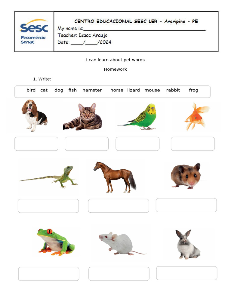 1º ANO - The Perfect Pet Homework | PDF
