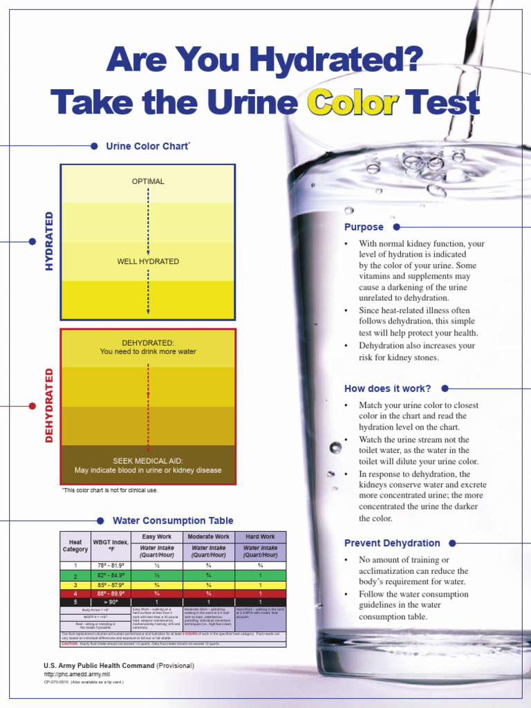 DOD - Urine Color Test - Poster | PDF | Dehydration | Urine