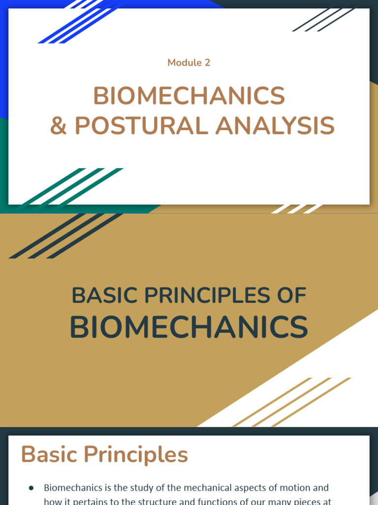 Biomechanics and Postural Analysis Basics | PDF | Force | Lever