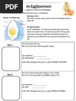 Naked Egg Osmosis Experiment Guide | PDF | Egg As Food | Osmosis