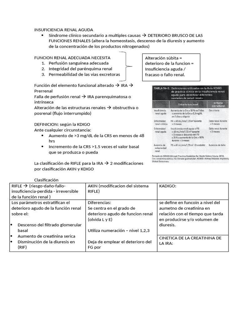 Insuficiencia Renal Aguda: Causas y Clasificación | PDF | Apoptosis | Riñón