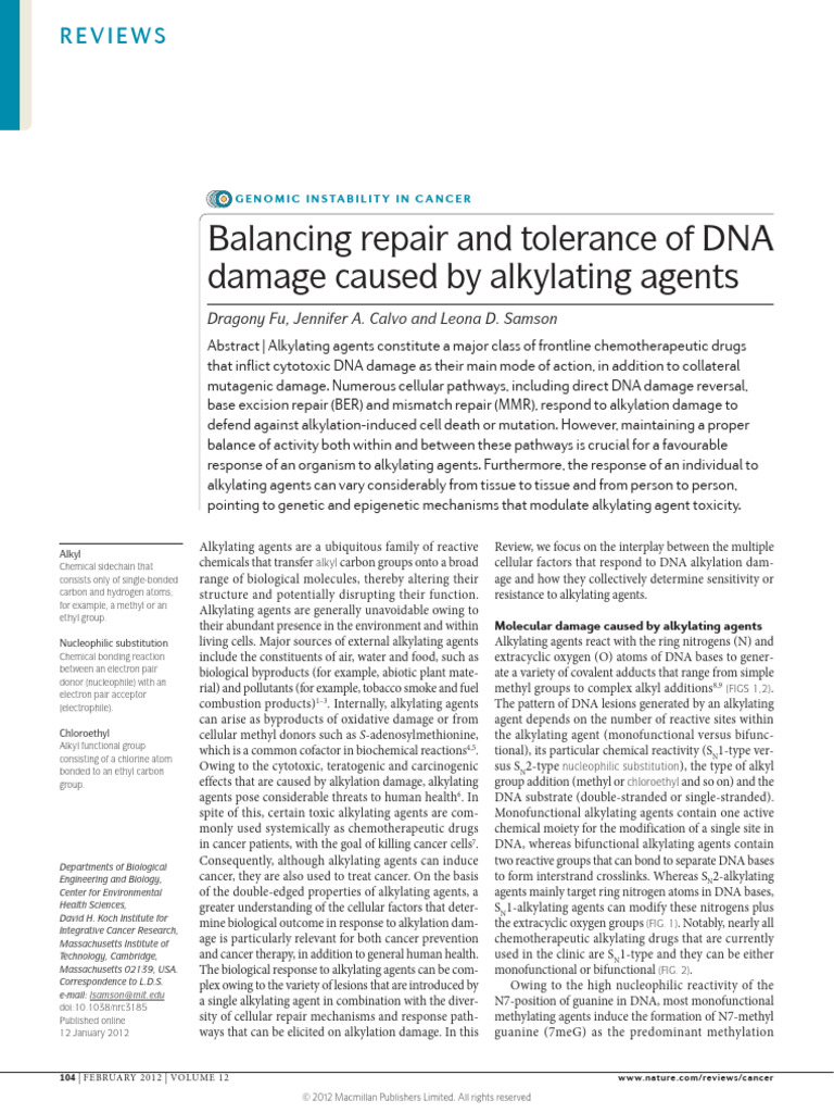 Balancing Repair and Tolerance of DNA Damage Caused by Alkylating ...