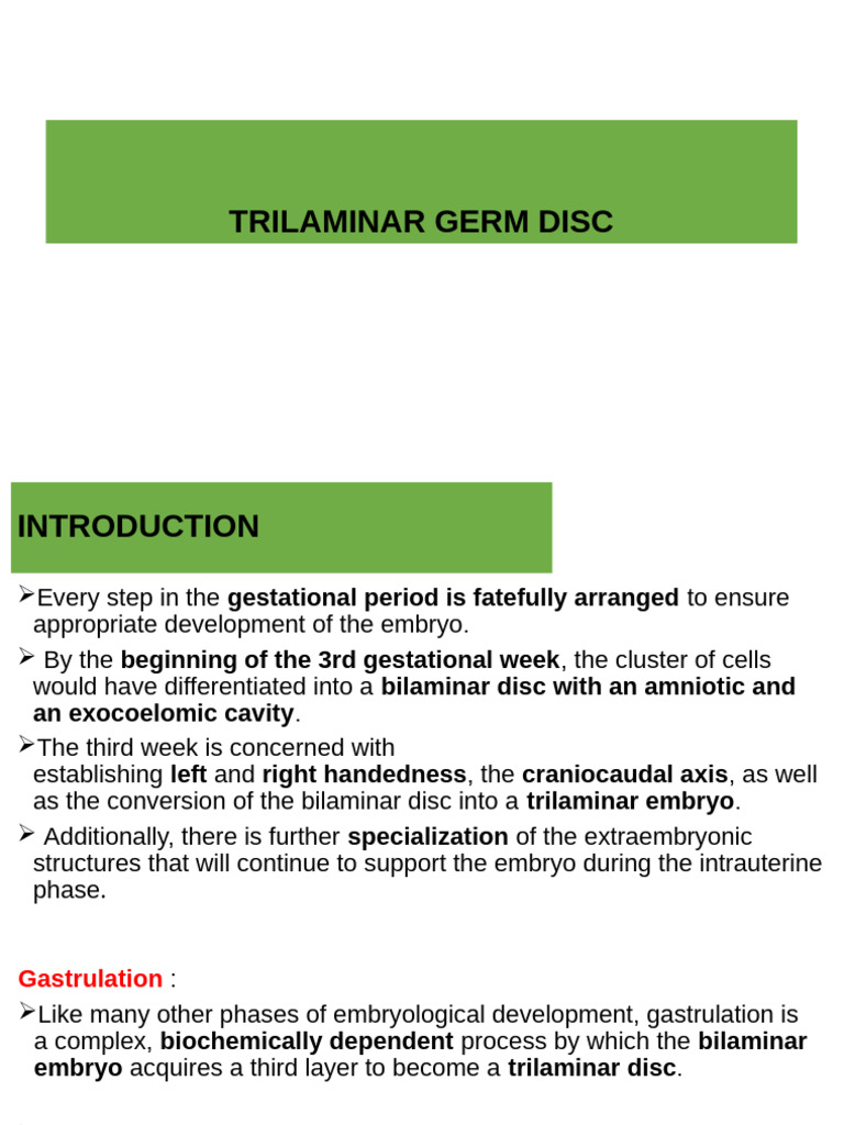 Trilaminar Germ Disc Development Overview | PDF | Morphology (Biology ...