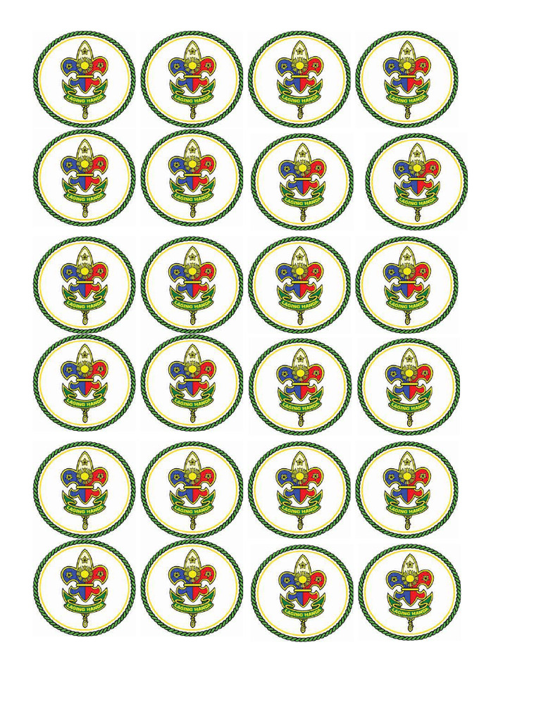 BSP Ribbon | PDF