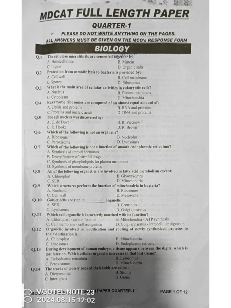 Q-FLP 1 (A+) 2024 + Key | PDF