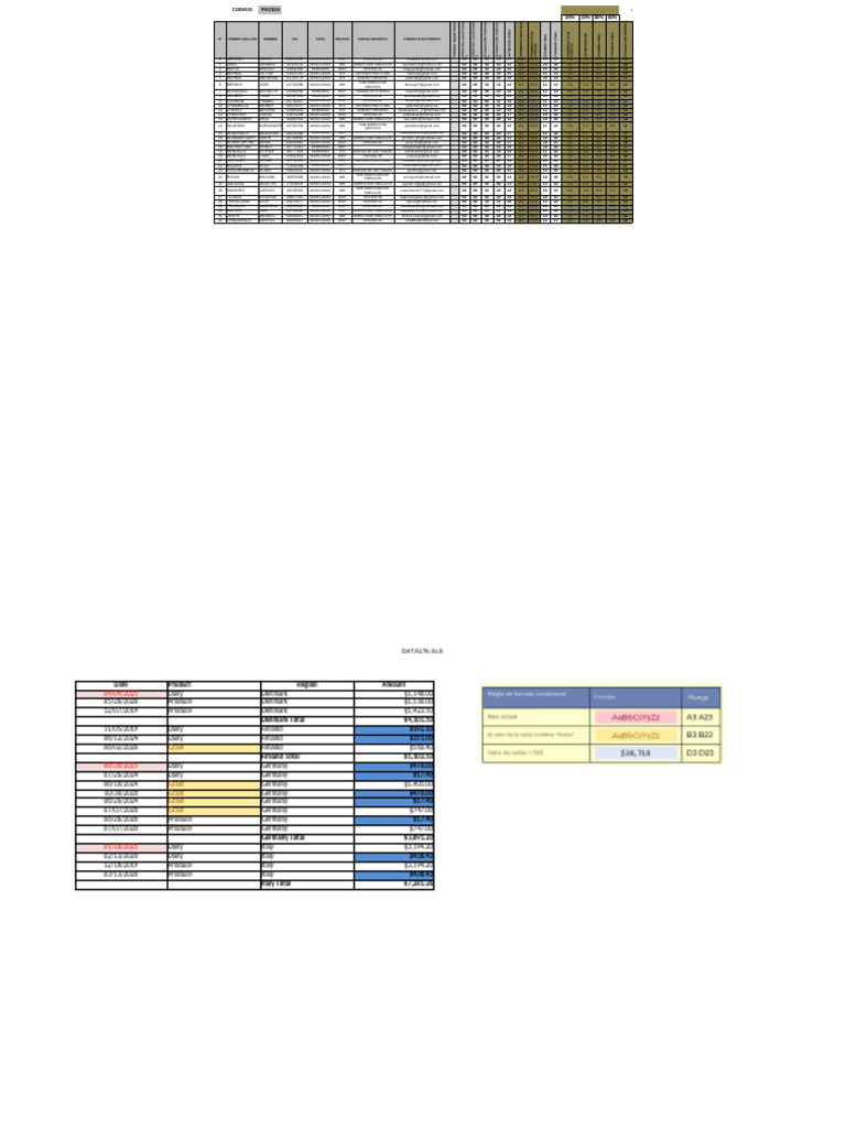 S02.s01 Formato Numero Perso Cond | PDF