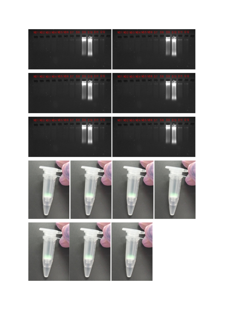 Biosel Isolasi | PDF