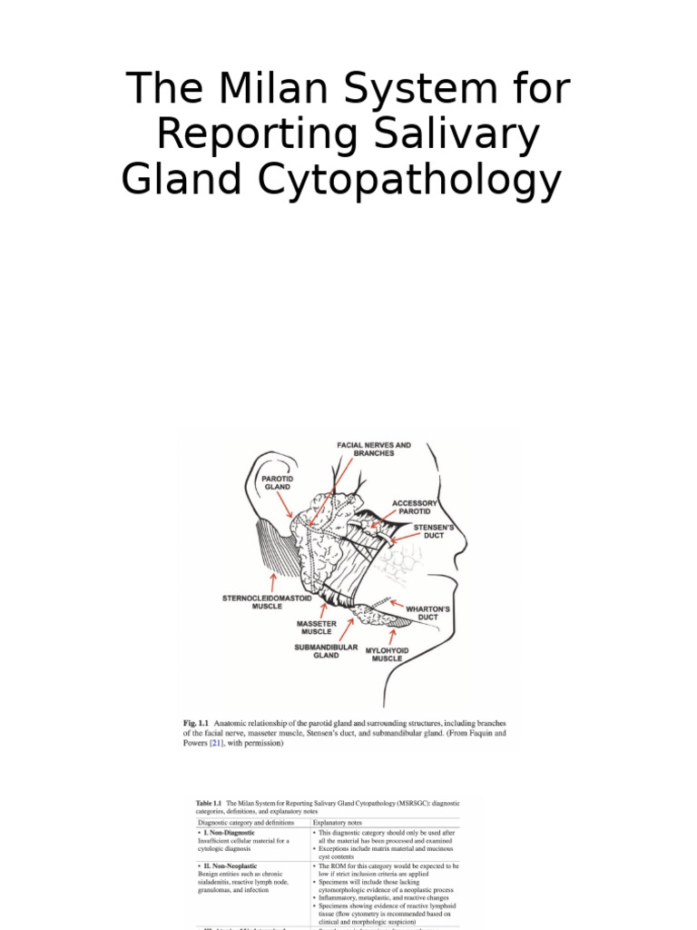 Milan - Pptxthe Milan System For Reporting Salivary Gland Cytopathology ...