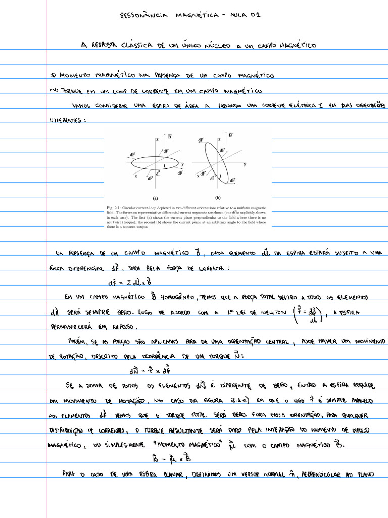Notas de Aula RM (Ressonância Magnética) | PDF