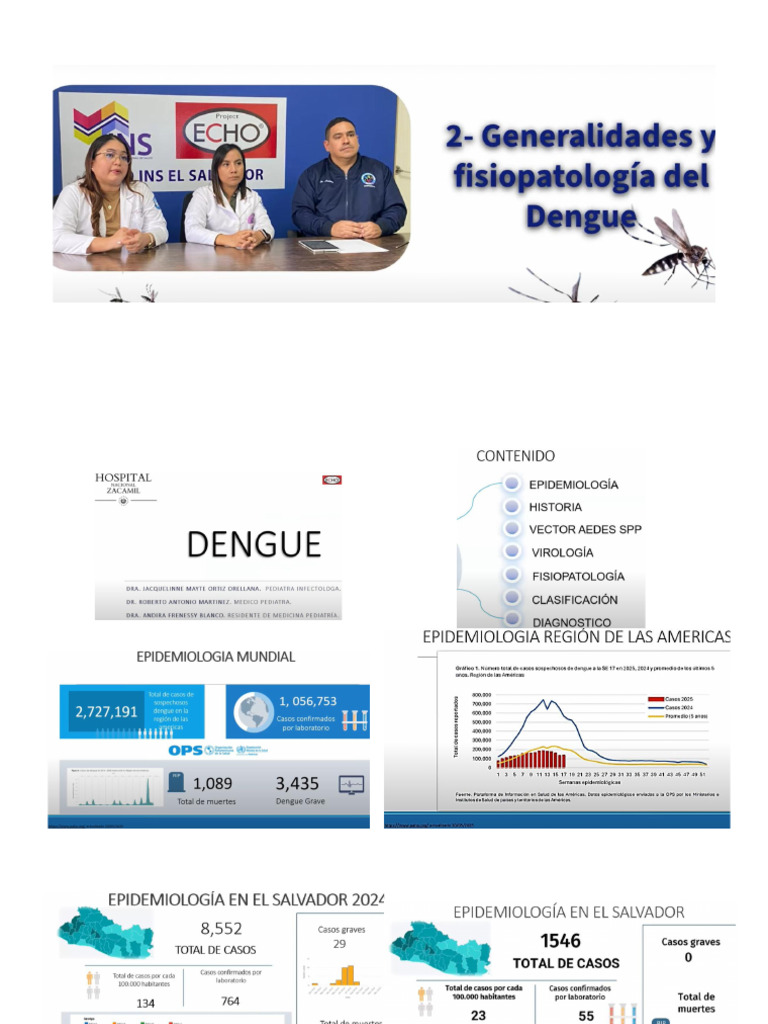 Dengue 1 | PDF