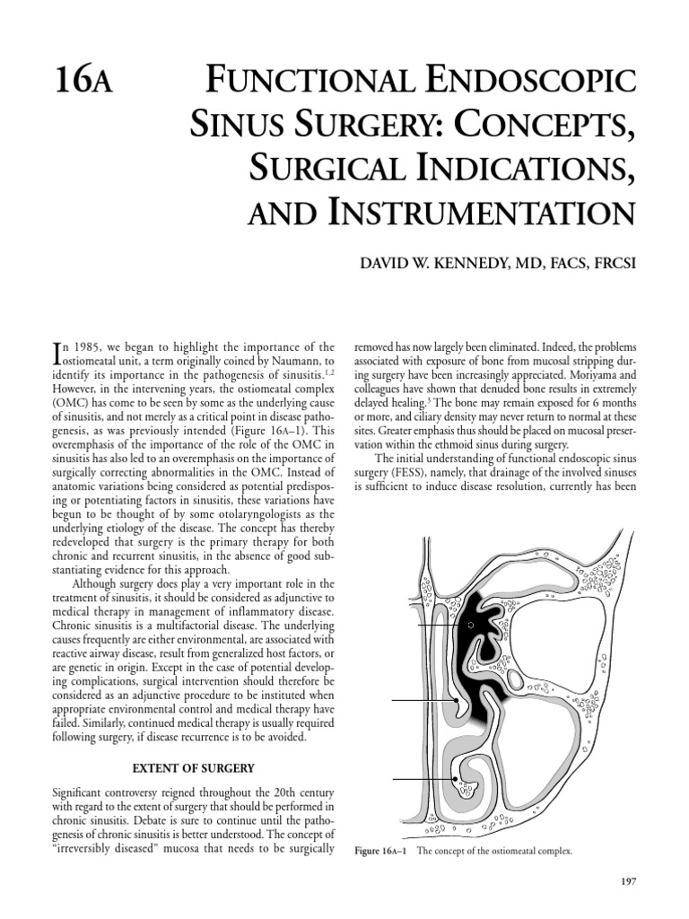 Ostiomeatal Complex and Sinusitis Surgery | PDF | Human Nose | Surgery