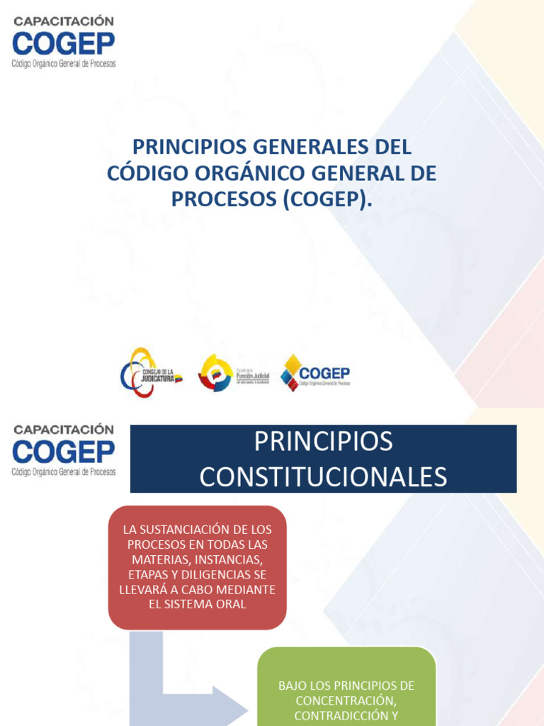 Principios del COGEP en Procesos Orales | PDF | Ley procesal | Demanda ...