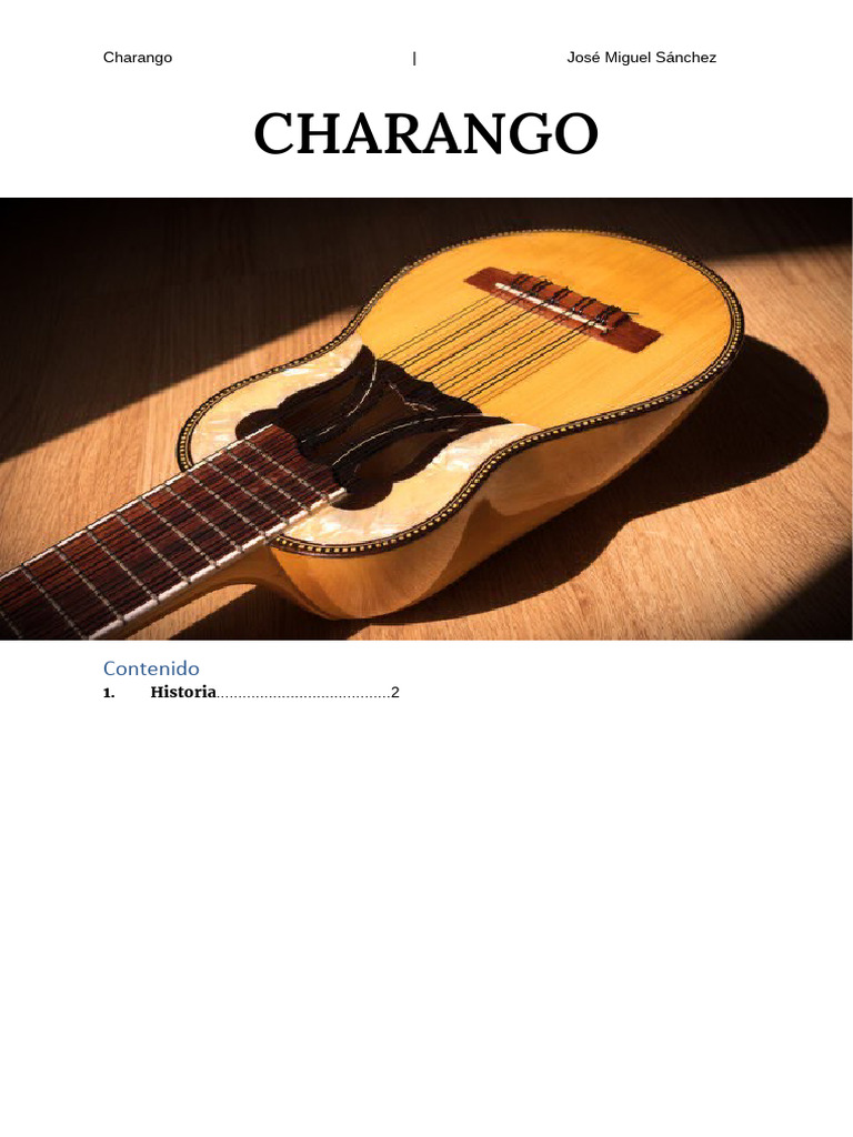 Revista Charango | PDF | Cordófonos | Instrumentos musicales