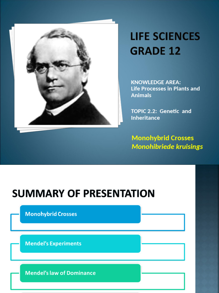 Monohybrid Crosses (Afr and Eng) | PDF | Dominance (Genetics) | Genotype