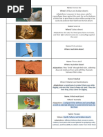 Desert Animals Book | PDF