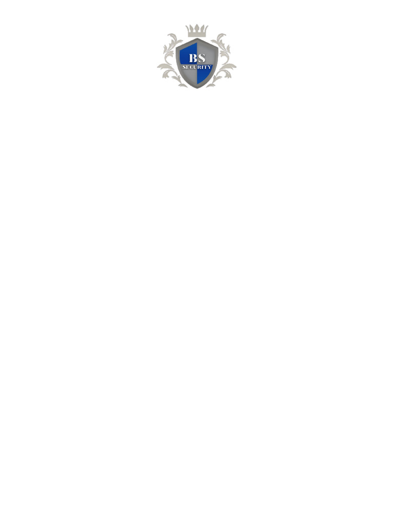 BS Security Storyboard Com Logo | PDF