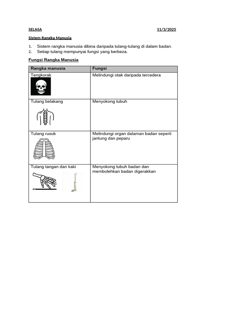 Nota Sistem Rangka Tahun 5 | PDF