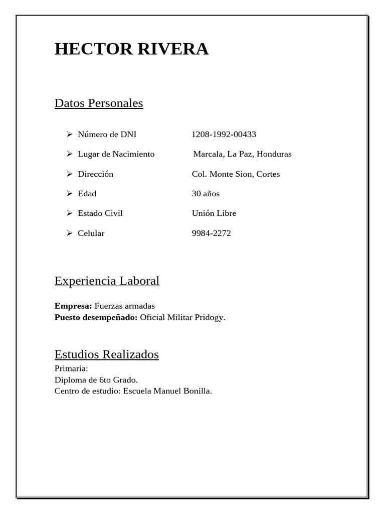 Perfil Profesional de Héctor Rivera | PDF