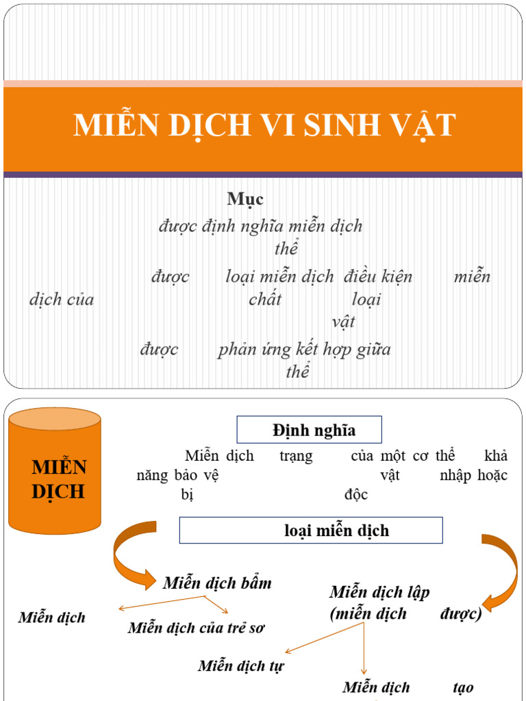 Bài 7. Miễn Dịch VSV | PDF