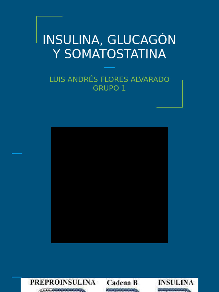 Insulina, Glucagón y Somatostatina | PDF