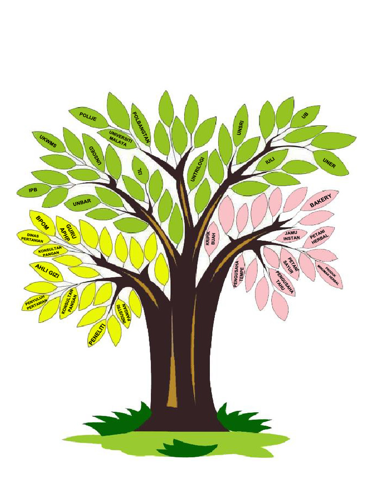 Pohon Karier Jurusan Aphp | PDF