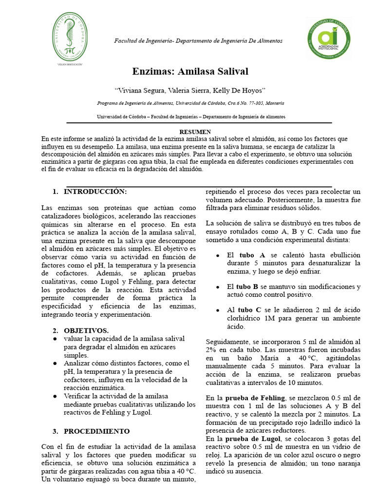 Función de la Amilasa Salival en Almidón | PDF | Enzima | Digestión