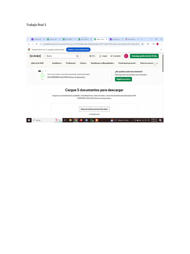 Trabajo Final 5 | PDF