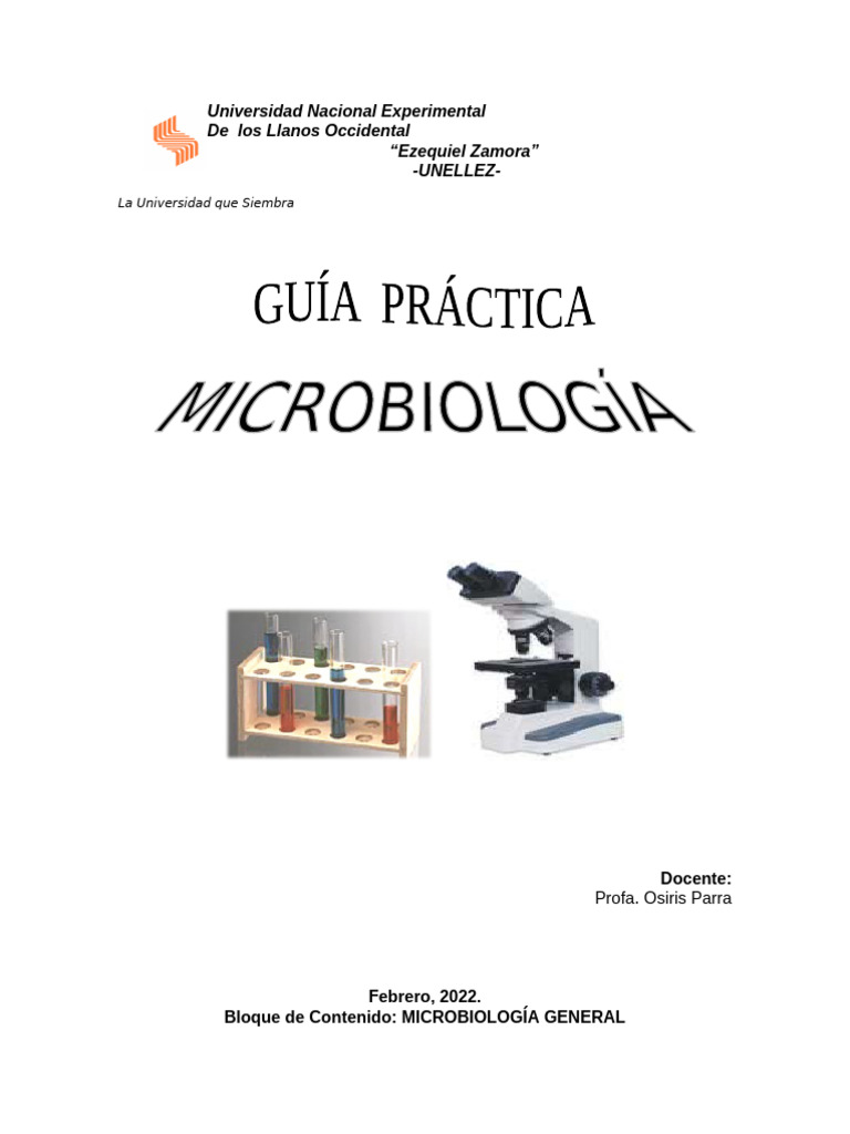 Guias de Practicas de Laboratorio de Microbiología. MV | PDF | Tinción | Las bacterias