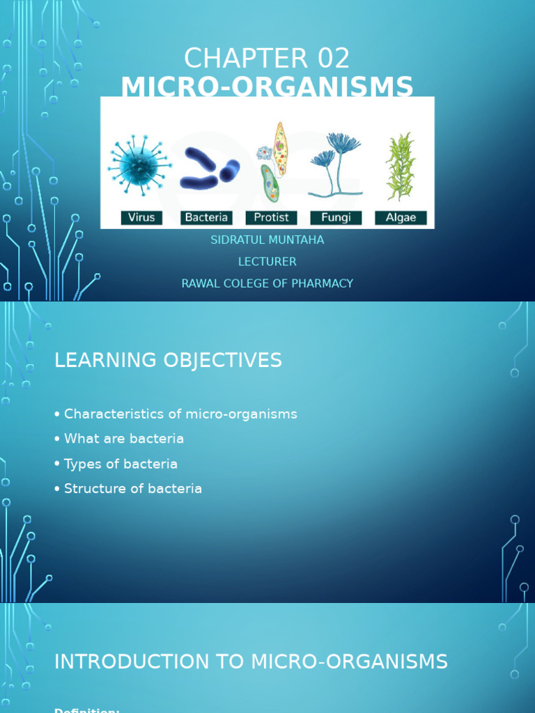 Chapter 02 Micro Organisms Intro To Bacteria | PDF | Bacteria | Gram ...