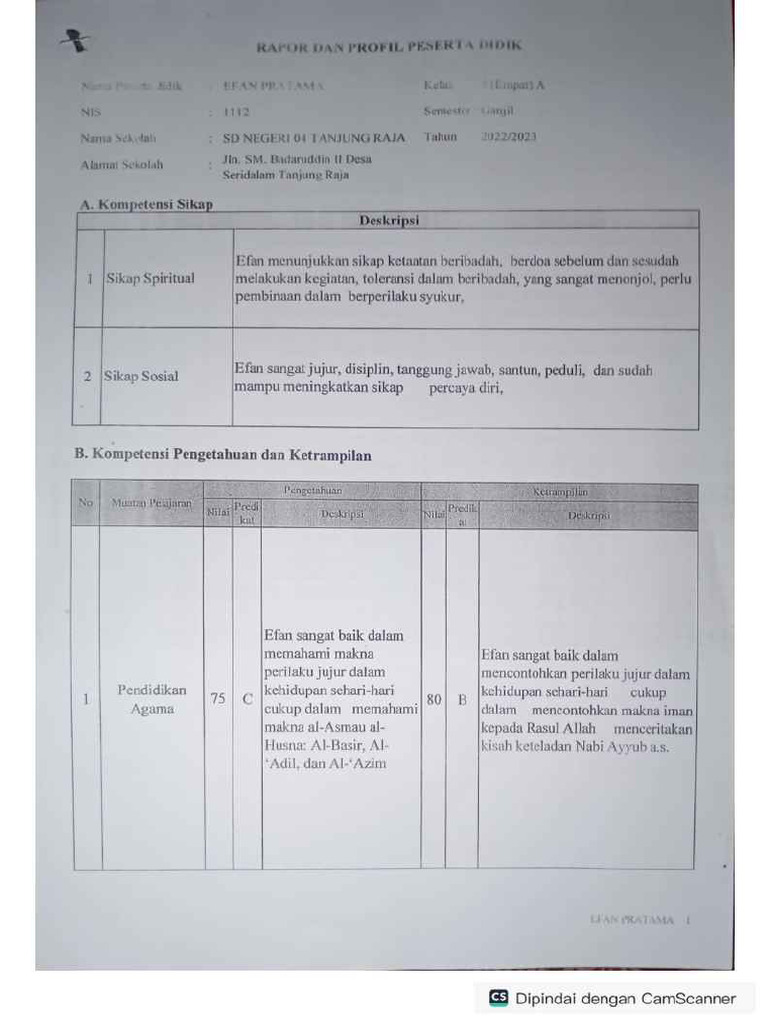 Raport Efan - 11zon | PDF