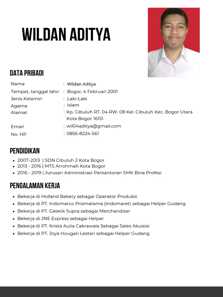 CV Wildan Aditya | PDF