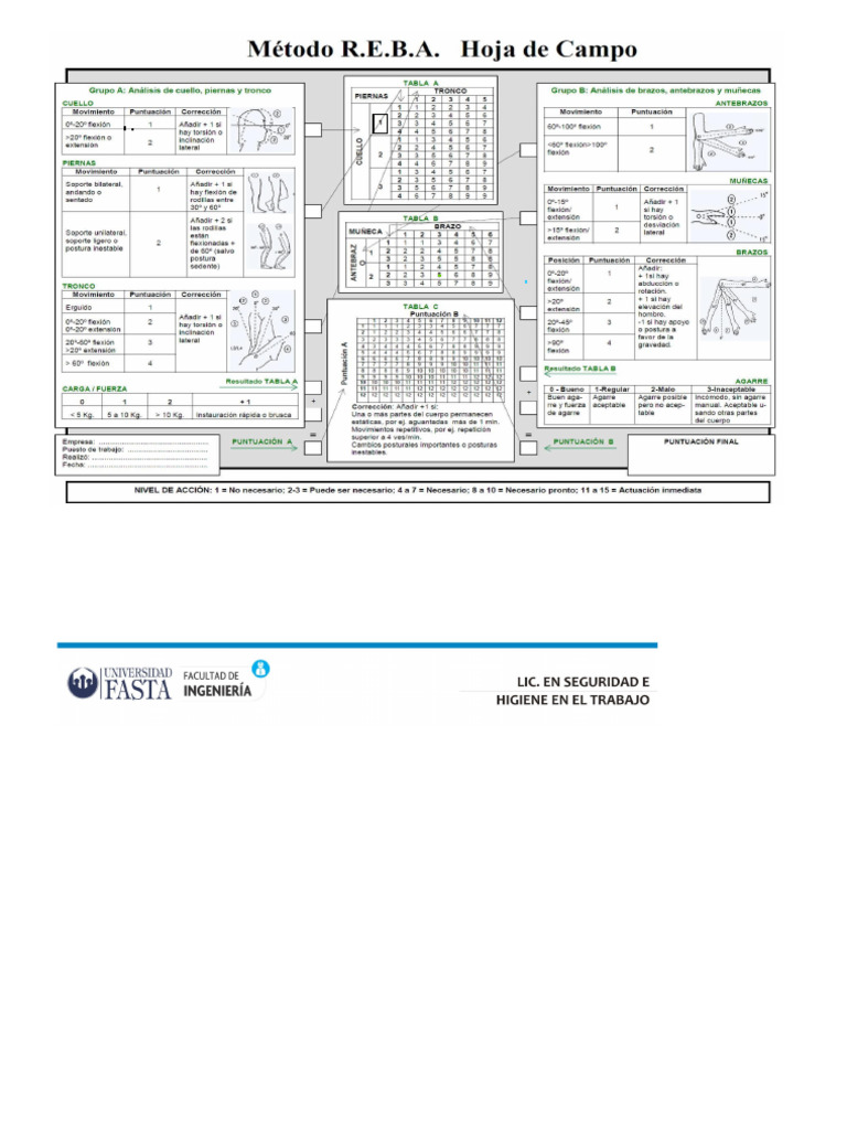 Hoja de Campo Reba | PDF