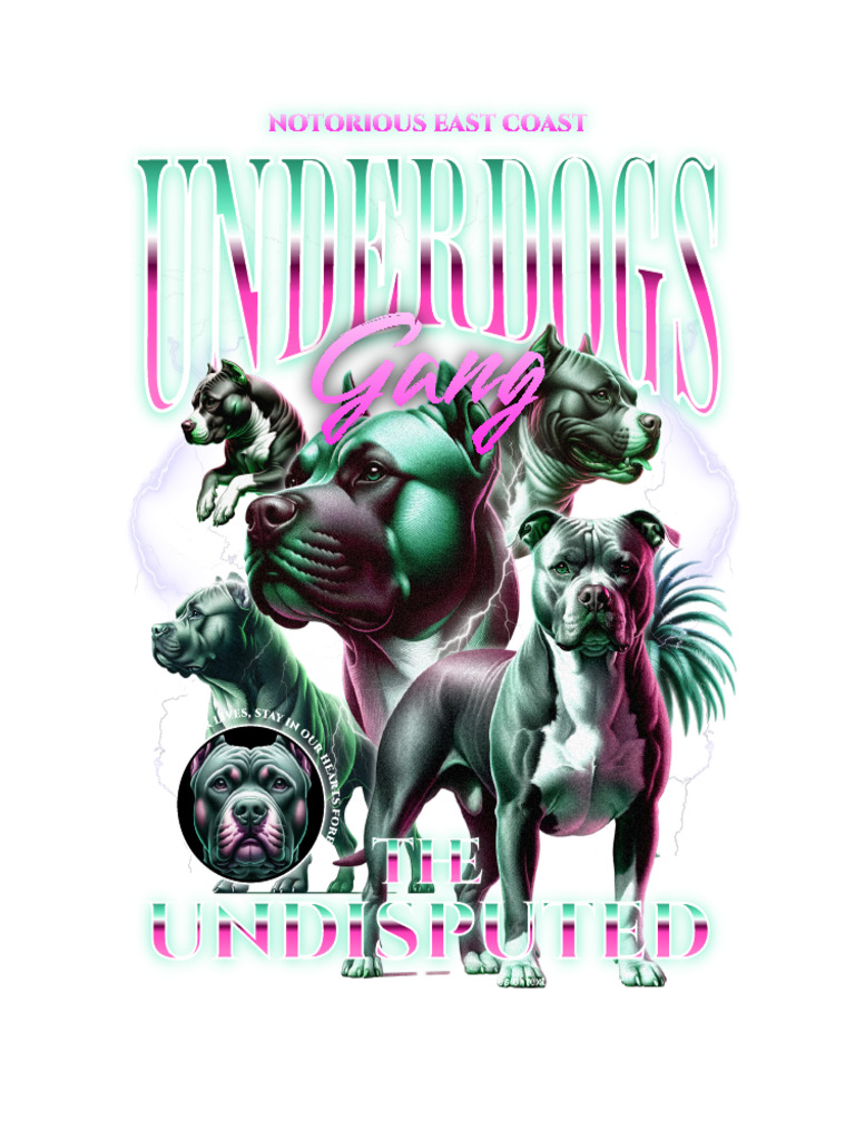 Underdogs Gang | PDF