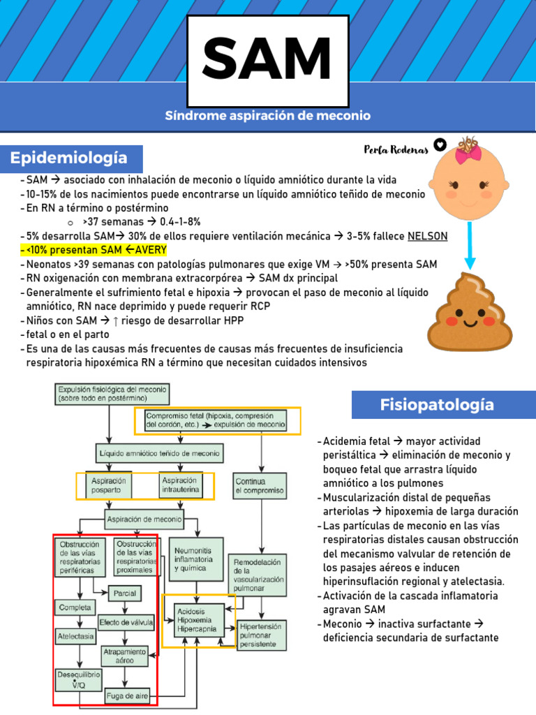 Síndrome de Aspiración de Meconio: Diagnóstico y Tratamiento | PDF ...
