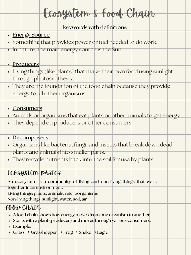 Ecosystem Basics: Food Chain Explained | PDF | Foods | Plants