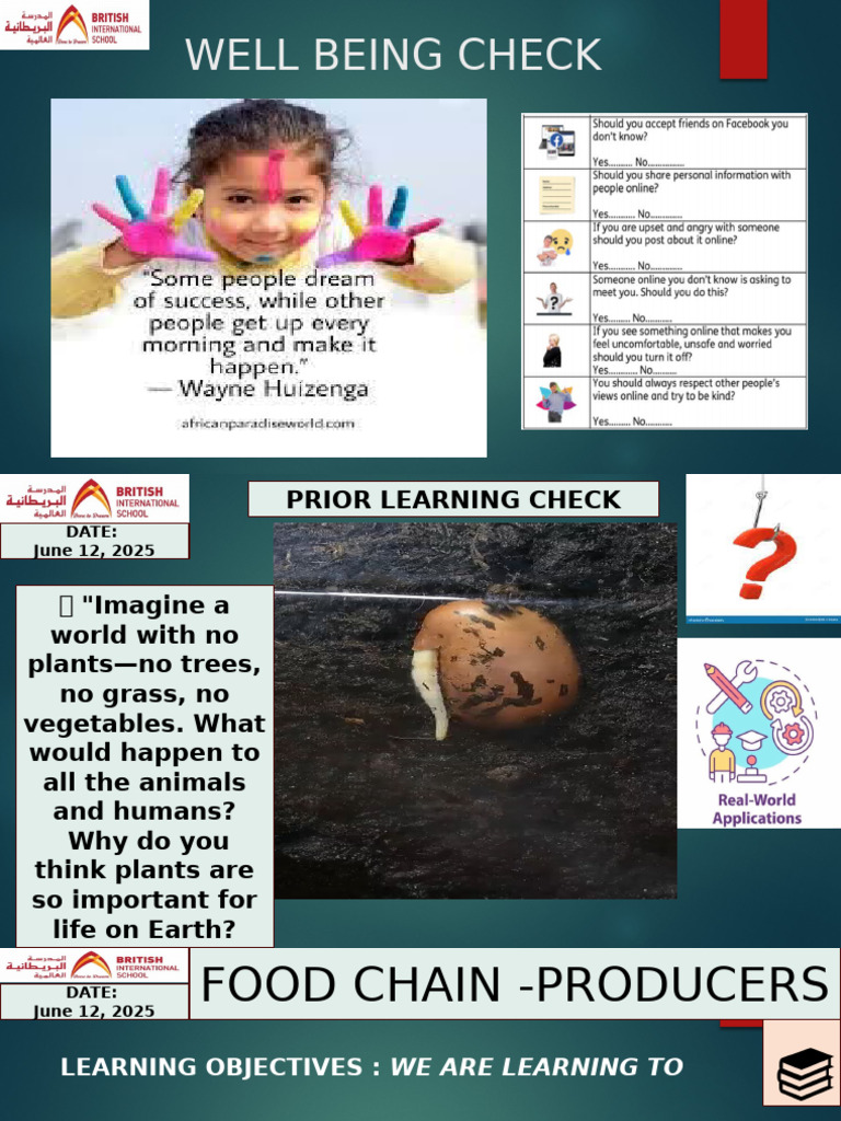 Lesson 3 Food Chain Producers | PDF | Photosynthesis | Foods