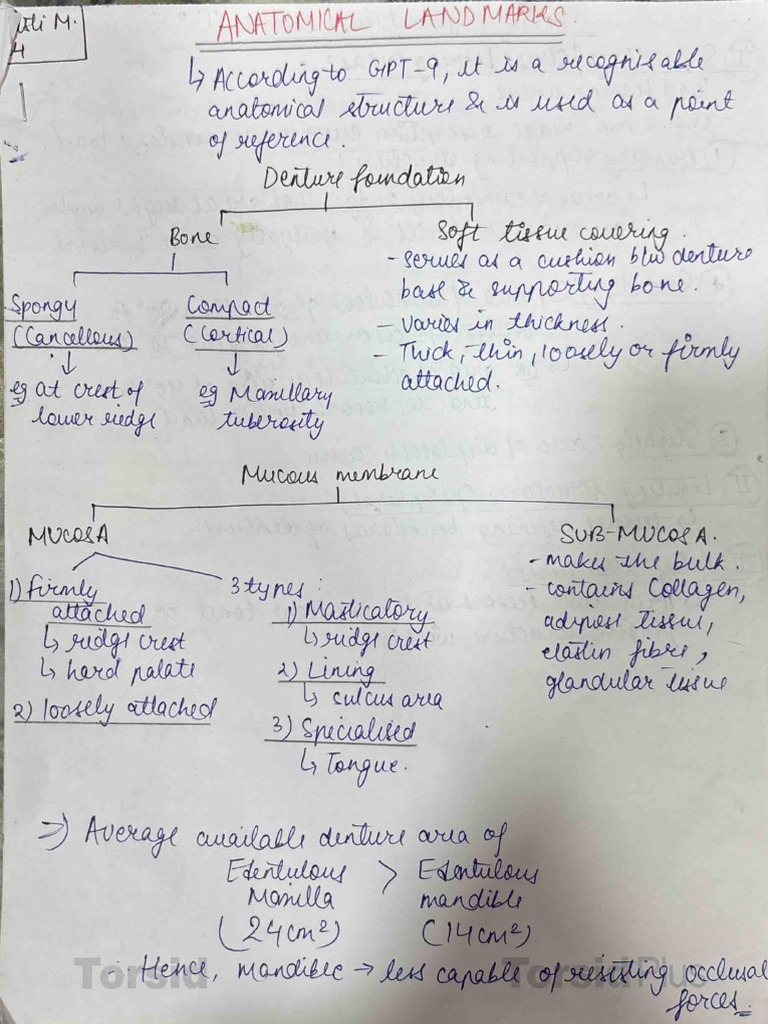 Anatomical Landmarks | PDF