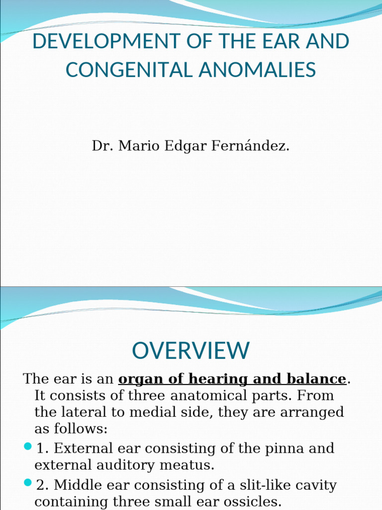 Development of The Ear and Congenital Malformations | PDF | Ear | Hearing