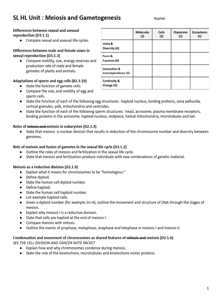 SL HL Meiosis and Gametogenesis Note Packet | PDF | Meiosis | Sexual ...