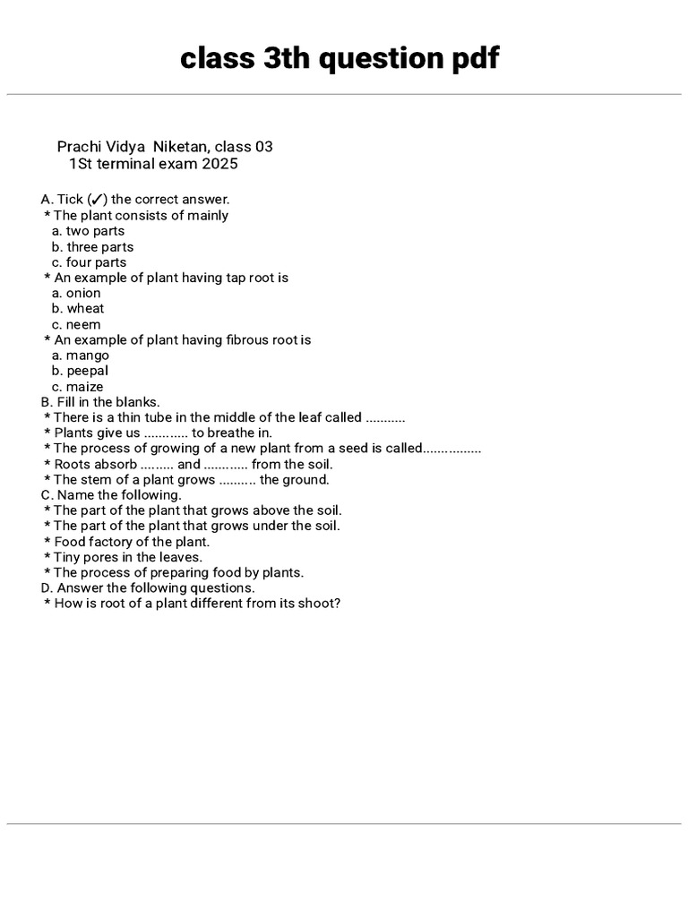 Class 3th Question PDF: Prachi Vidya Niketan, Class 03 1St Terminal Exam 2025 | PDF