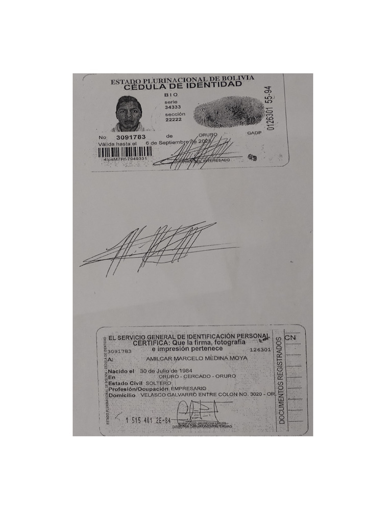 Amilcar Medina | PDF