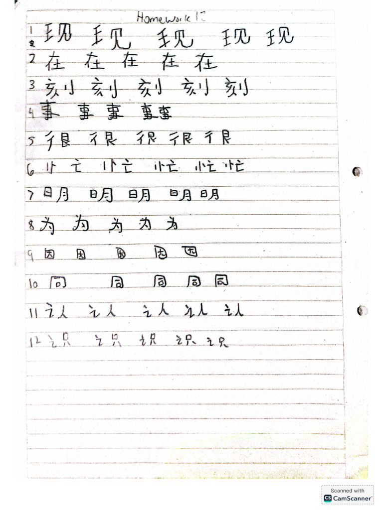 Homework#12 Mandarin | PDF