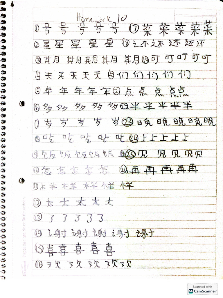 Homework#10 Mandarin | PDF