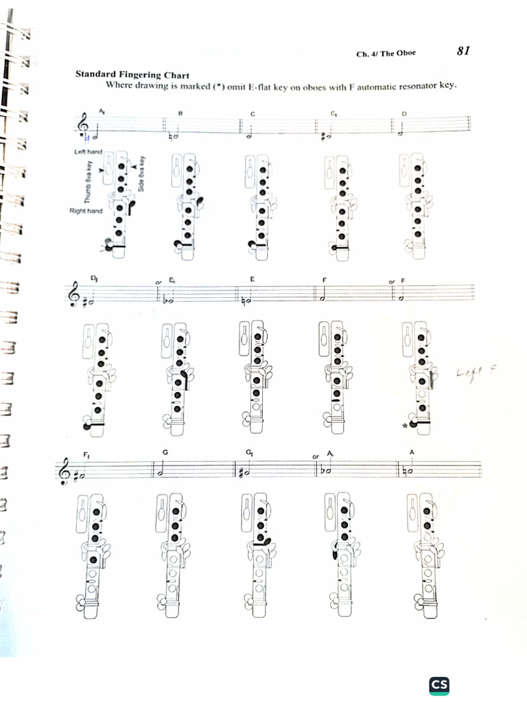 Clarinet Fingering Chart | PDF
