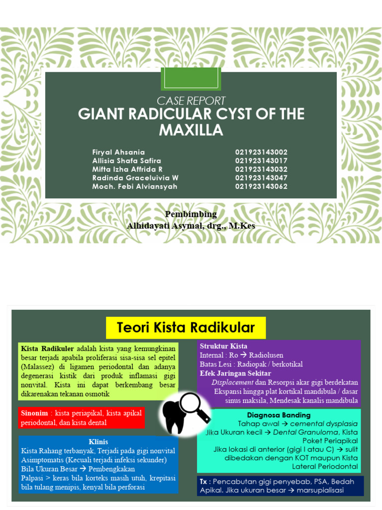 Kista Radikuler Kelompok 2 Selasa A | PDF