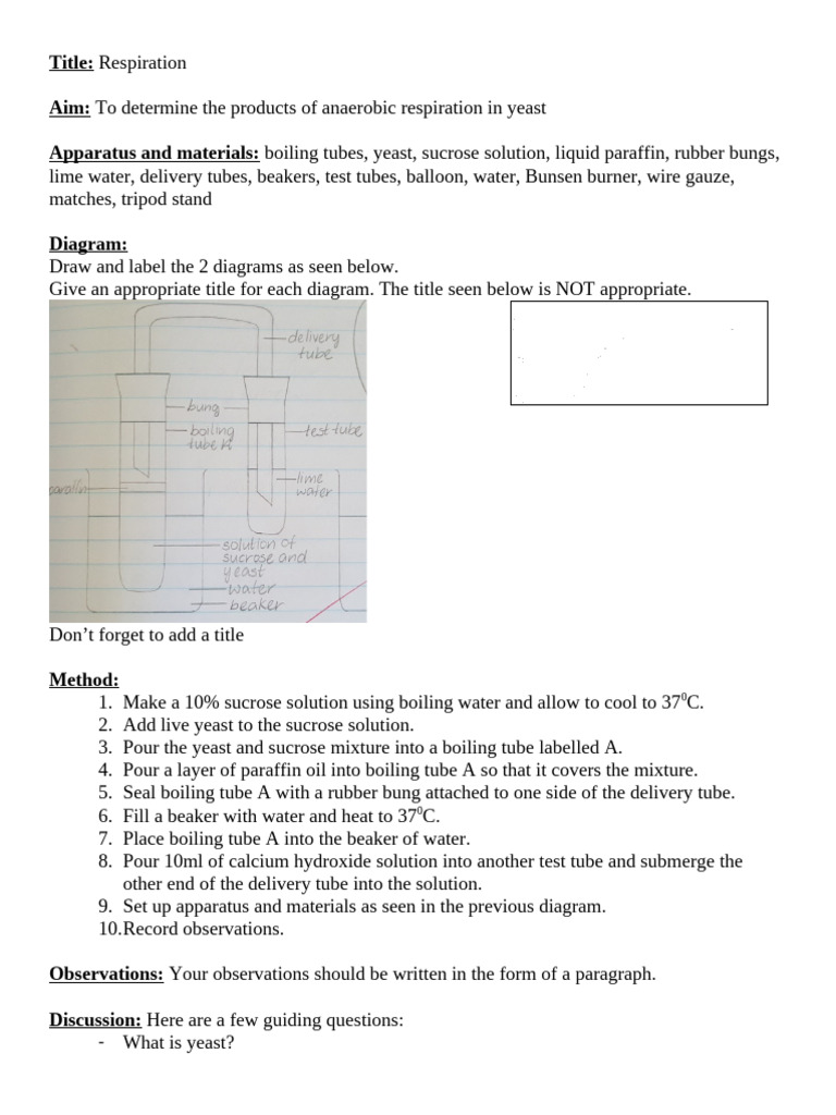 Anaerobic Respiration Lab | PDF | Yeast | Cellular Respiration