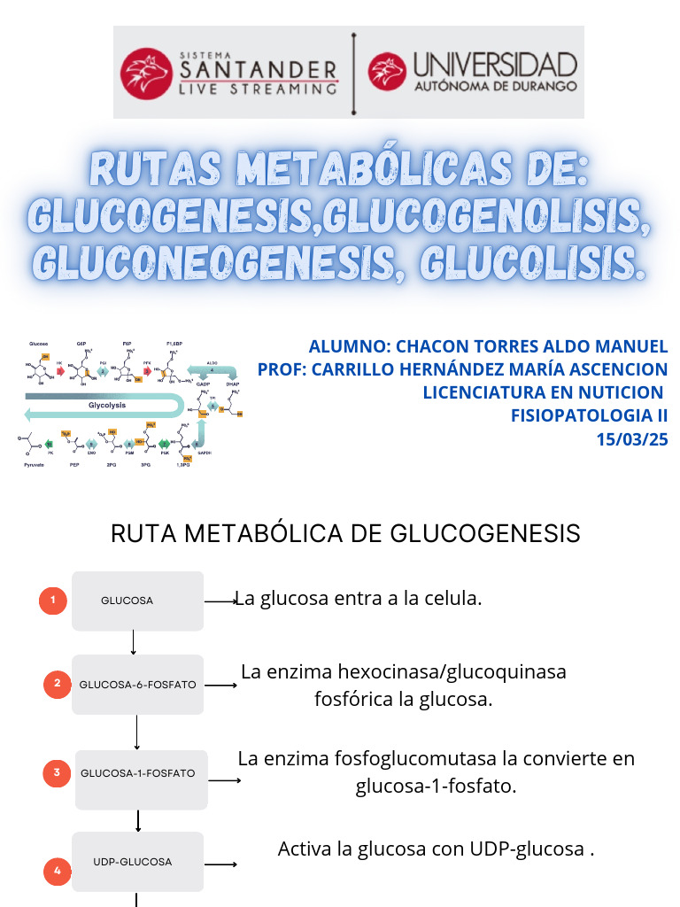 White Minimalist Modern Recruitment Process Flowchart - 20250313 ...
