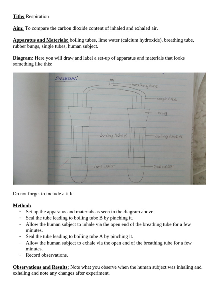 Co2 Content of Air Lab (Aerobic Respiration Lab) | PDF
