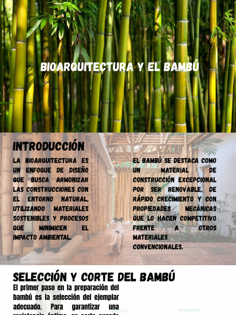 Bioarquitectura: Uso Sostenible del Bambú | PDF | Hormigón | Laminado ...