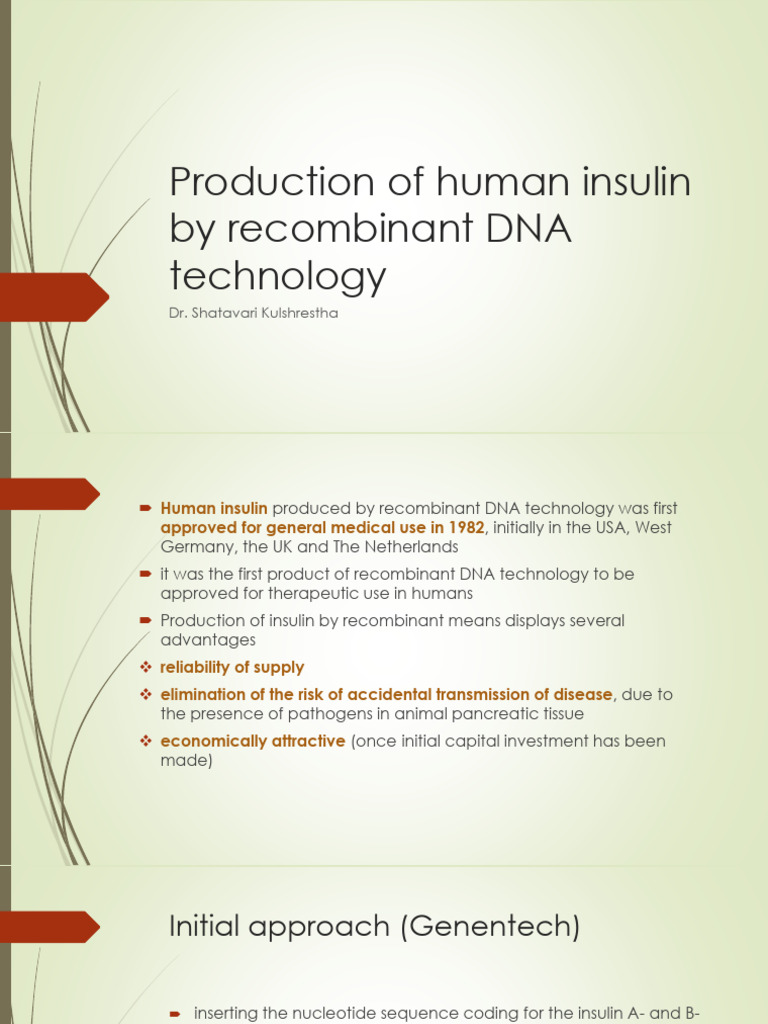 RDT Human Insulin Production and Insulin Formulations | PDF | Insulin ...
